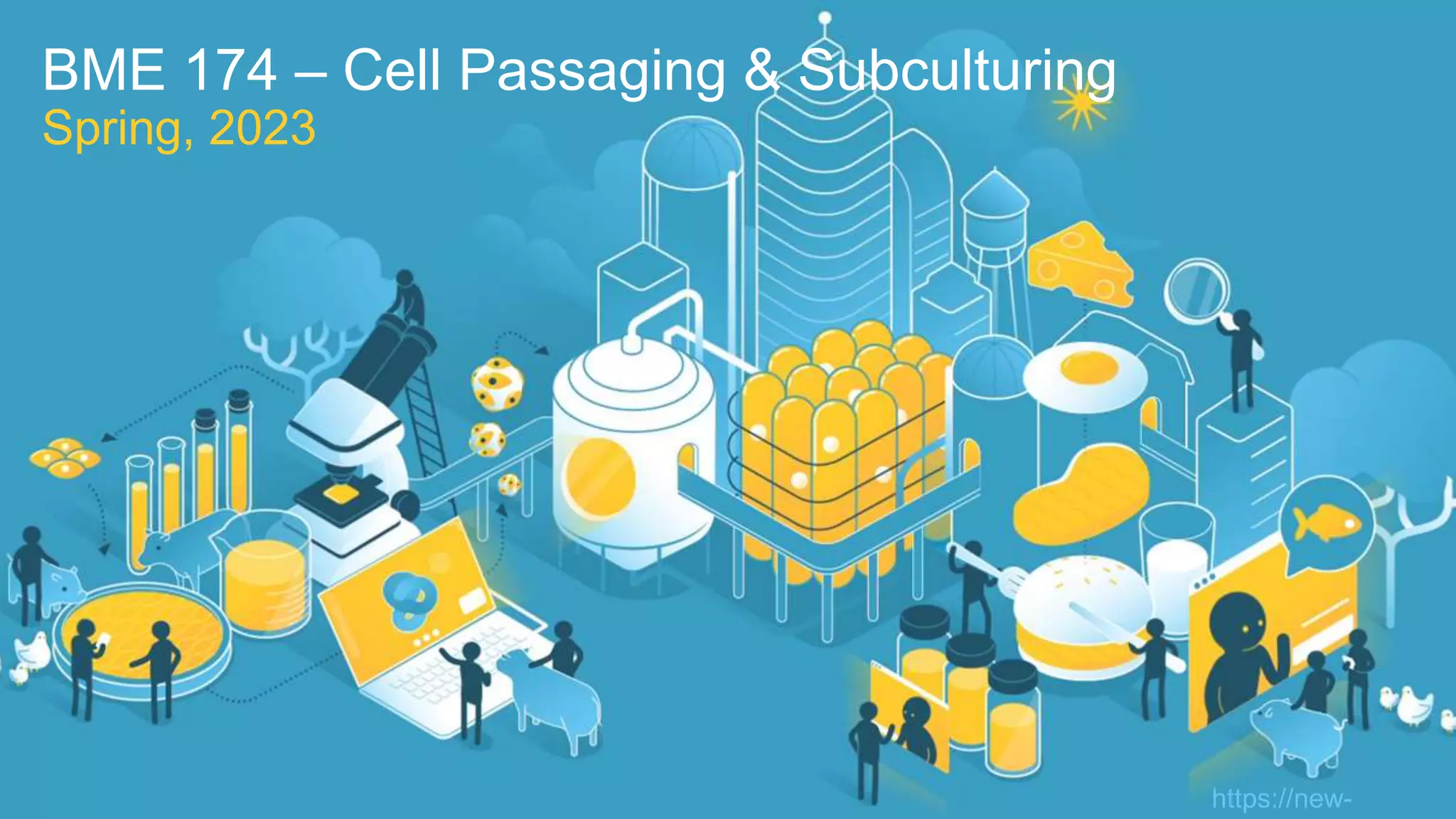 Week 3 - Cell Passaging.pptx