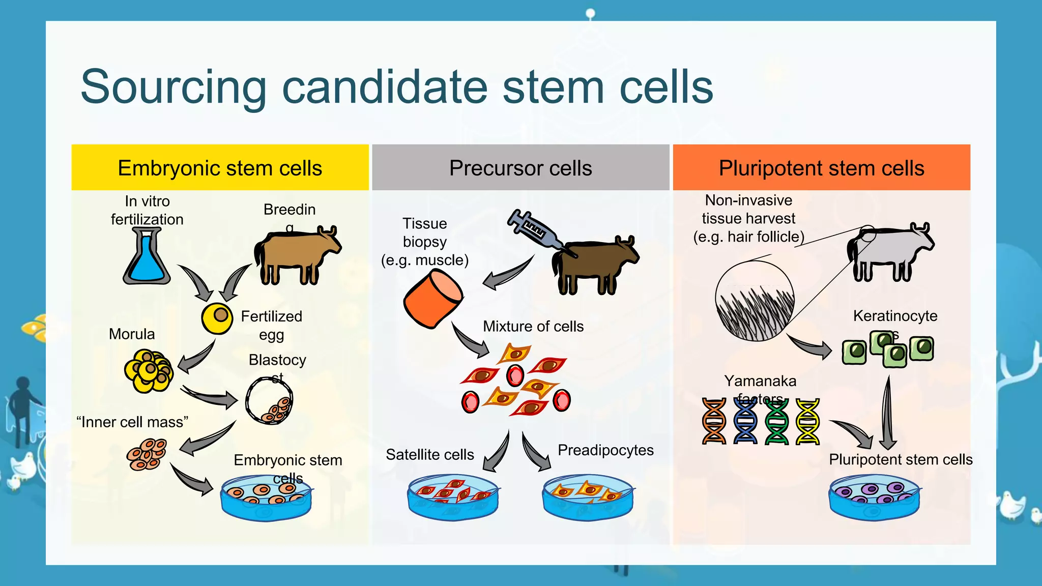 Week 3 - Cell Passaging.pptx