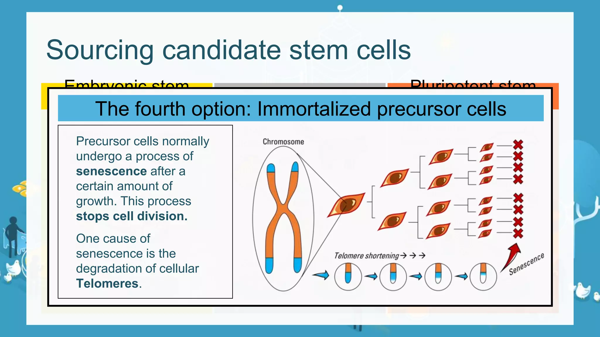 Week 3 - Cell Passaging.pptx