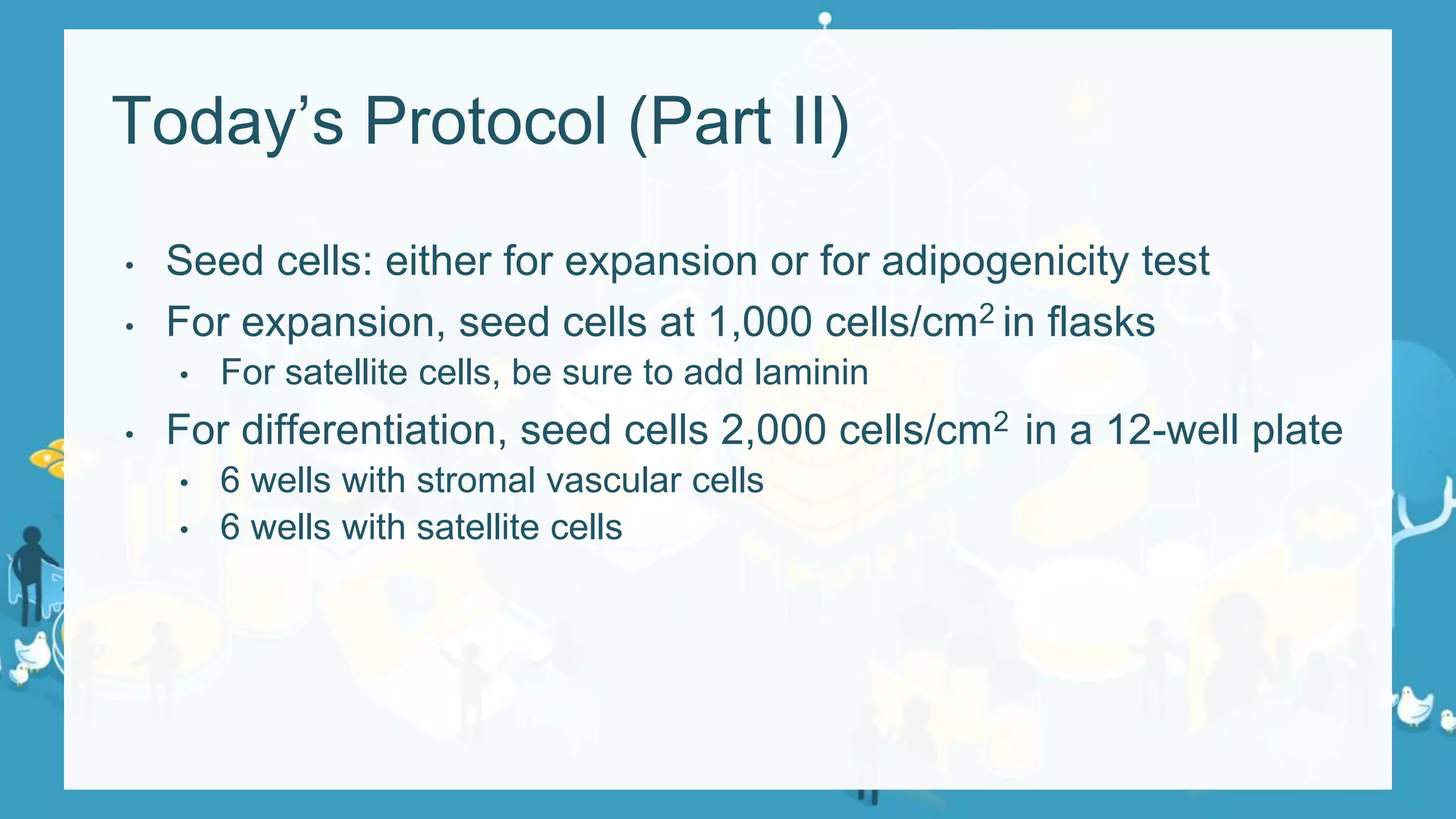 Week 3 - Cell Passaging.pptx