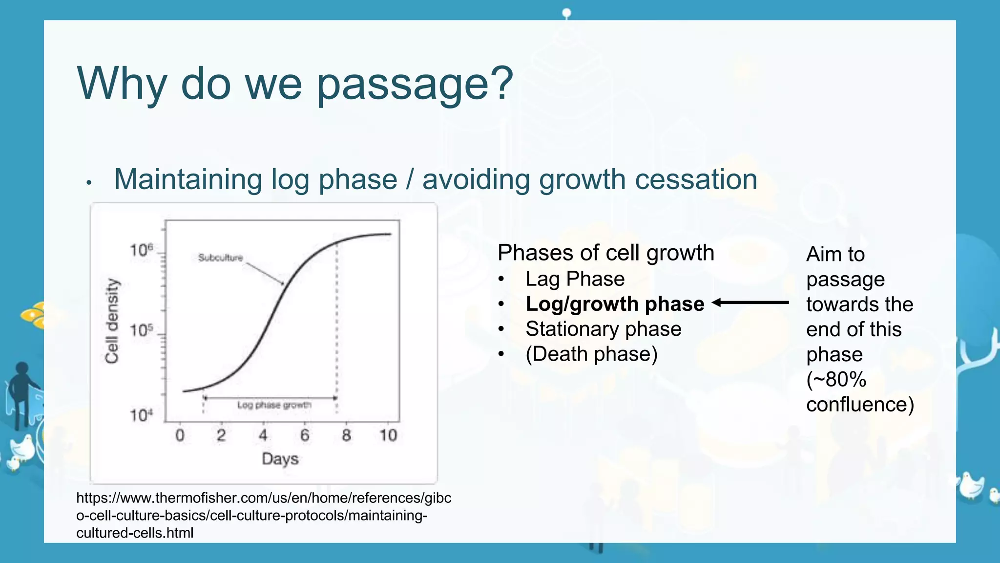 Week 3 - Cell Passaging.pptx