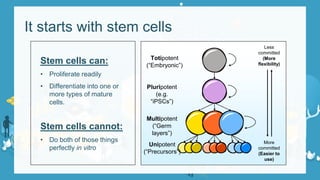 Week 3 - Cell Passaging.pptx