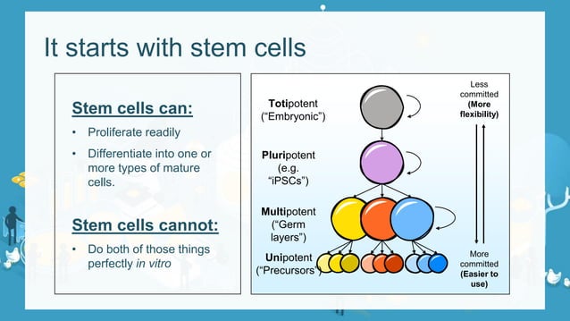 Week 3 - Cell Passaging.pptx