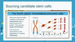 Week 3 - Cell Passaging.pptx
