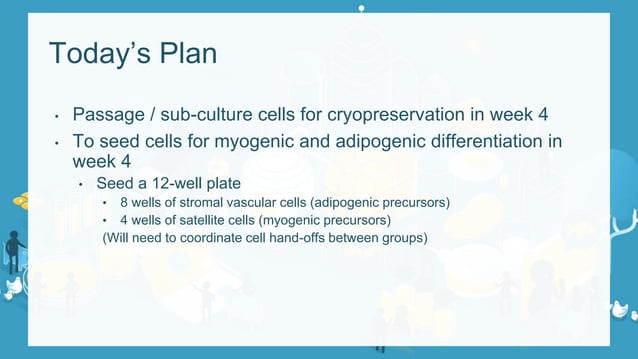 Week 3 - Cell Passaging.pptx