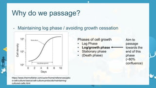 Week 3 - Cell Passaging.pptx