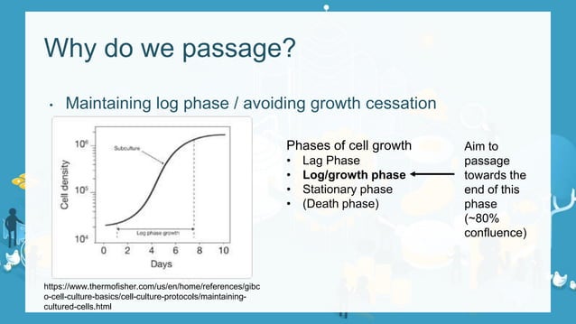 Week 3 - Cell Passaging.pptx