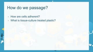 Week 3 - Cell Passaging.pptx