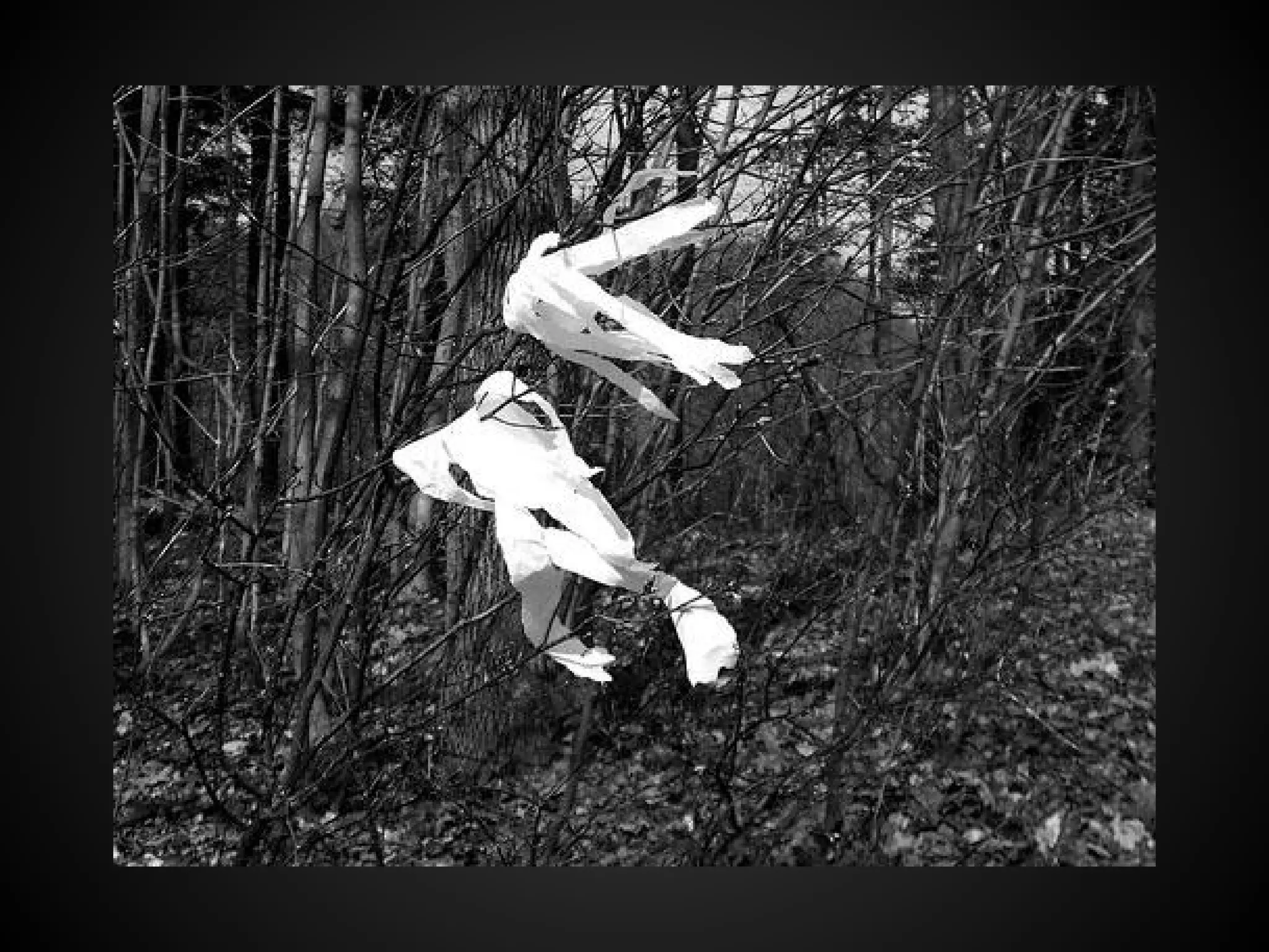 Color Theory (Photography) | PDF