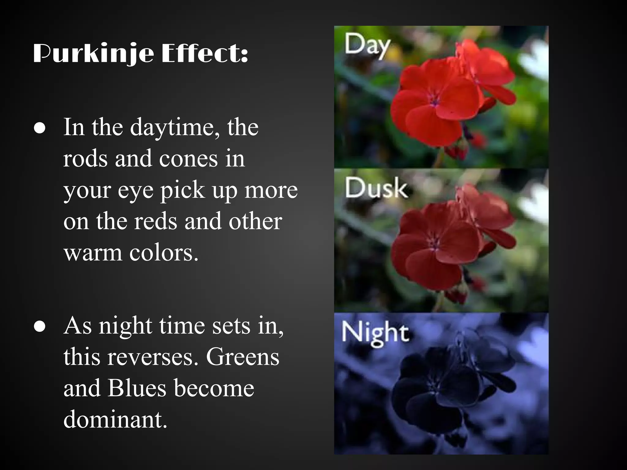 Color Theory (Photography) | PDF