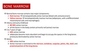 HEMATOLOGY-UNDERSTANDIN THE HEMATOPOIESIS | PDF