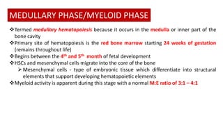 HEMATOLOGY-UNDERSTANDIN THE HEMATOPOIESIS | PDF
