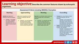 Week 3 - Lesson 1- Varity of Living organisms 2.pptx
