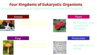 Week 3 - Lesson 1- Varity of Living organisms 2.pptx