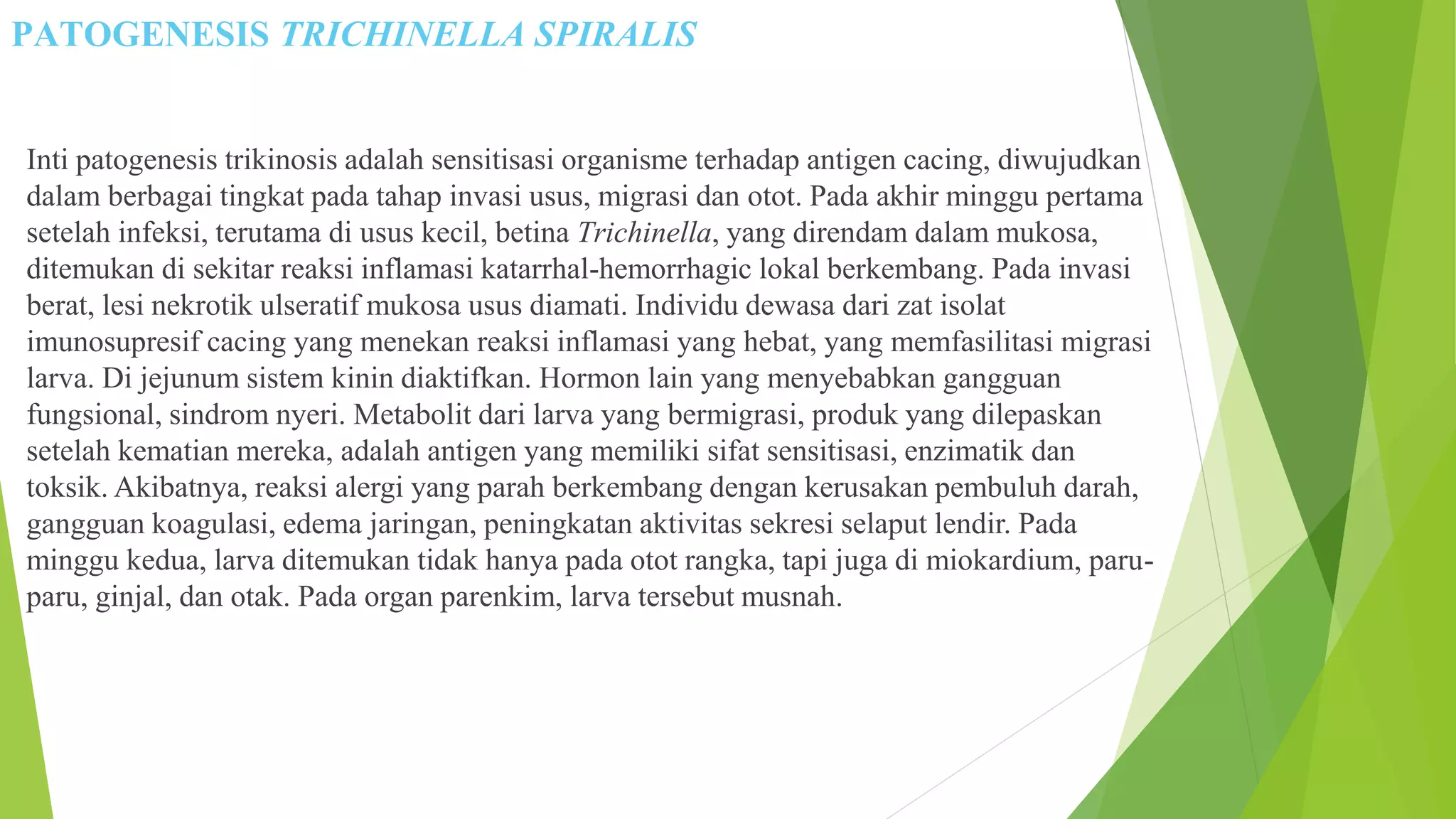 PPT parasitologi - strongiloides stercoralis & trichinella spiralis | PPTX