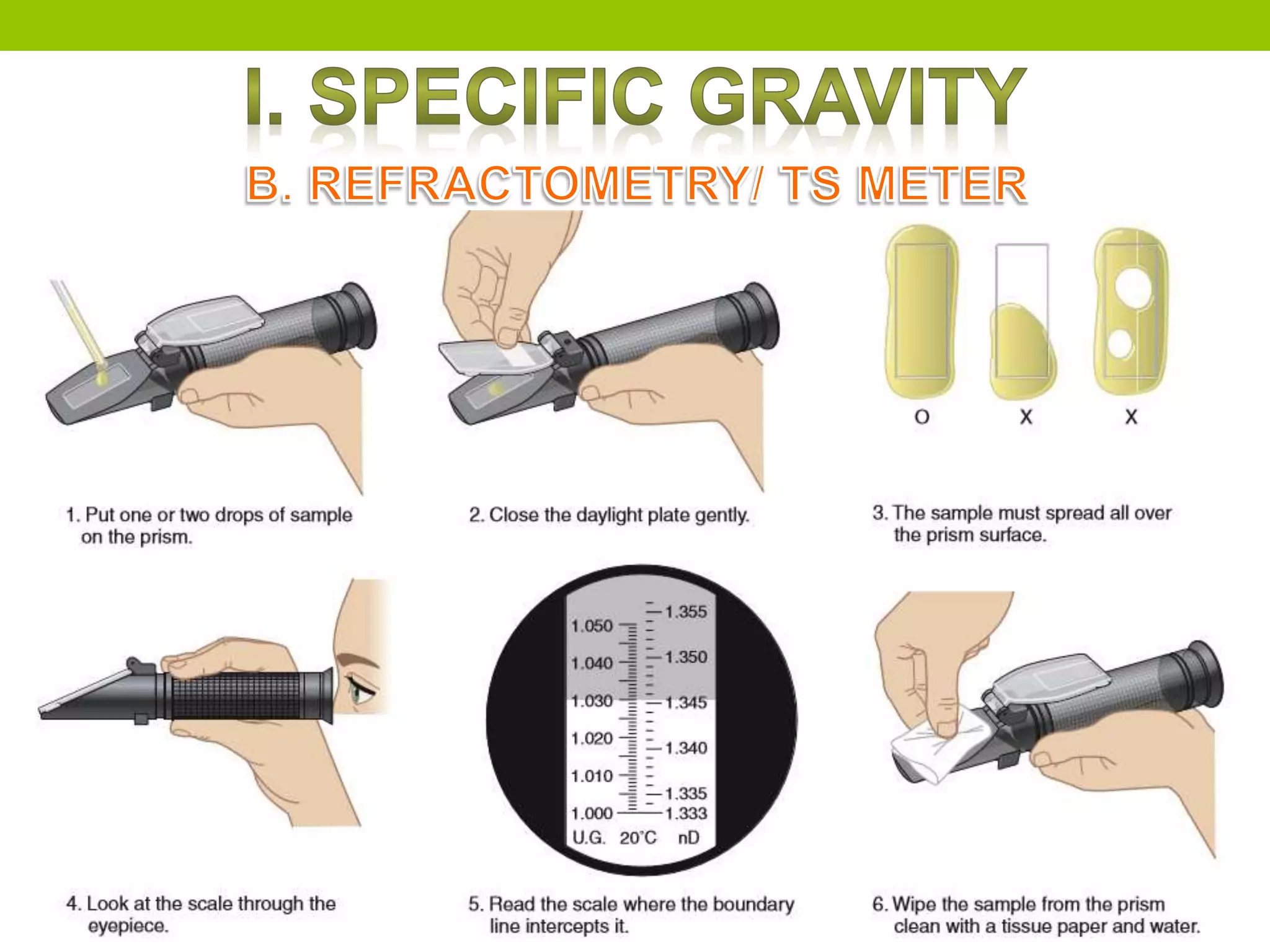 Week3 physical examination of urine | PPTX