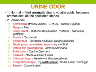 Week3 physical examination of urine | PPTX