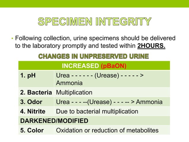 Week3 physical examination of urine | PPTX