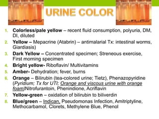Week3 physical examination of urine | PPTX