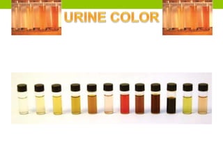 Week3 physical examination of urine | PPTX