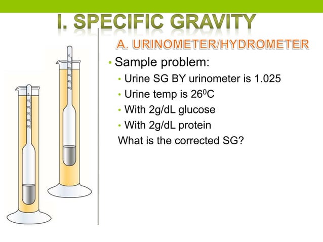 Week3 Physical Examination Of Urine