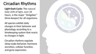 Considerations of HUMAN FACTORS in lighting design | PPTX