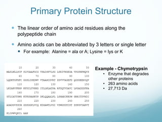 Week 3- Protein Folding and Structure.pdf | Chemistry | Science