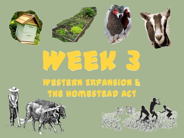 Week 3 - Western Expansion and Homestead Act | PPT