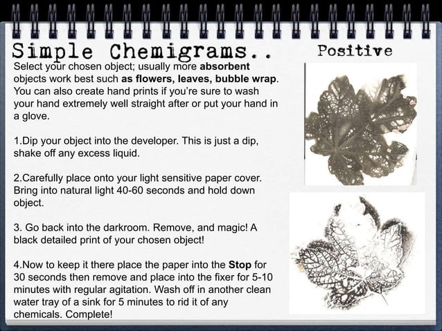 Week 3 13 photo | PPT