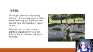 Week 31 on line introduction | PPT