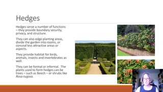 Week 31 on line introduction | PPT