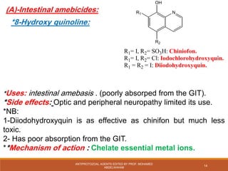 week 3 antiprotozoal.pdf
