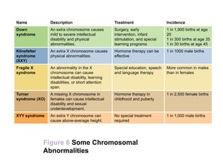 Week 3 Biological Beginnings | PPTX