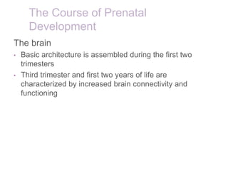 Week 3 Biological Beginnings | PPTX