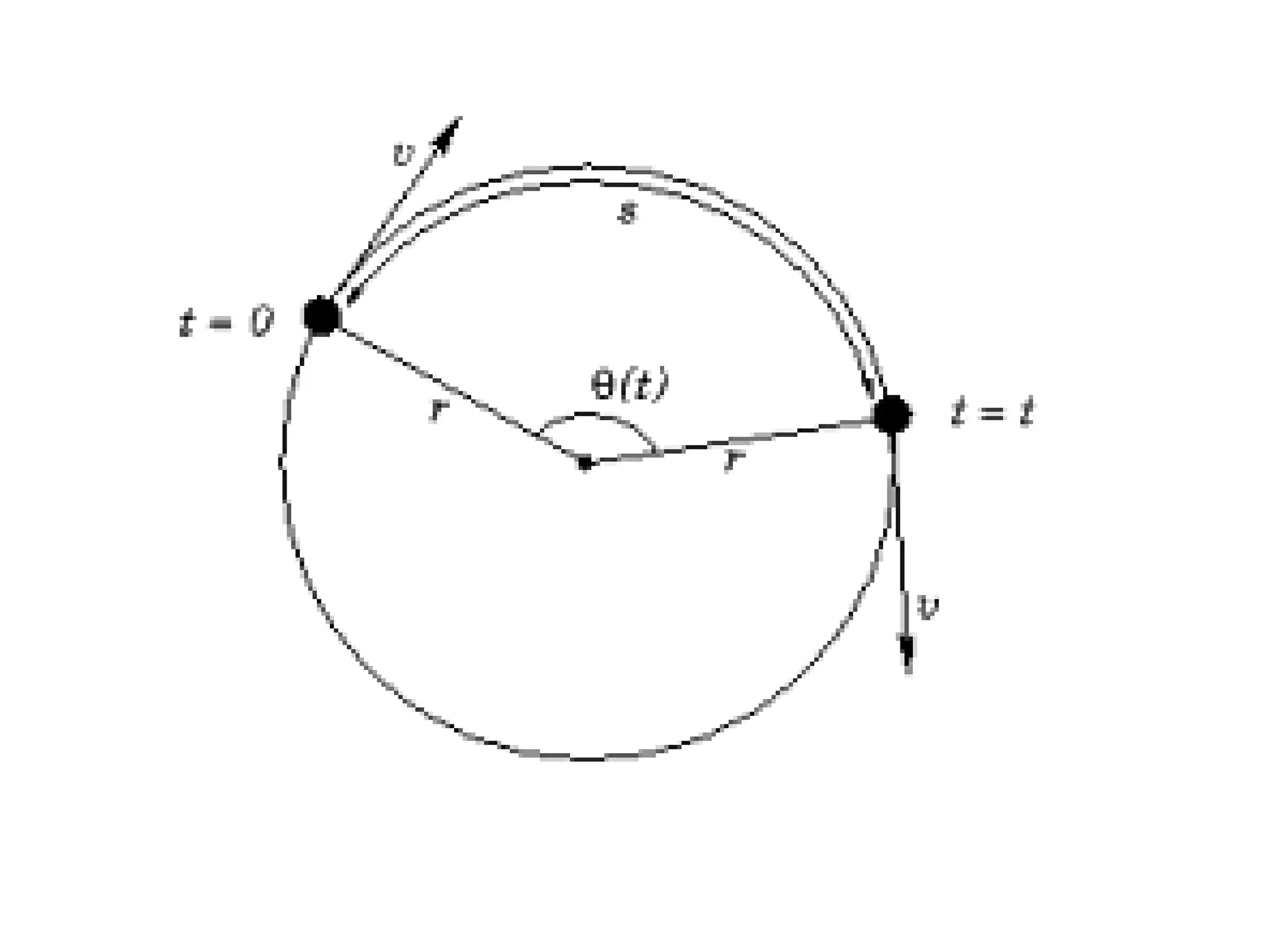 WEEK 3 CIRCULAR MOTION.pptx