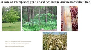 Ethics: Endangered Species.pptx