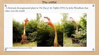 Ethics: Endangered Species.pptx