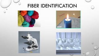 week 3 fiber identification.pdf