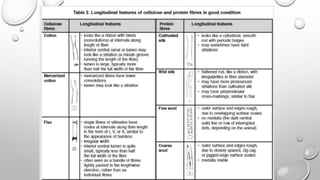 week 3 fiber identification.pdf