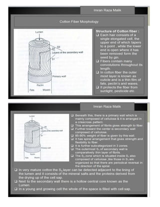 textile lecture for students | DOCX