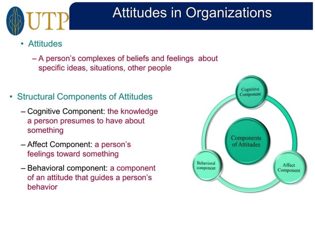 Week 3_Foundation of Individul Behavior in Organisation.pptx