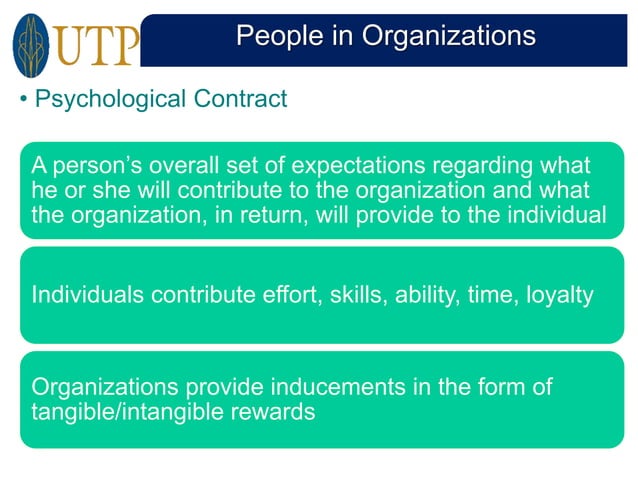 Week 3_Foundation of Individul Behavior in Organisation.pptx