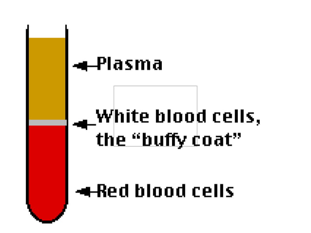 Week 3 lec 1 Collection, Processing and Storage.ppt