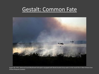 Week 3 Lecture: Gestalt Theories | PPT