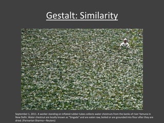 Week 3 Lecture: Gestalt Theories | PPTX
