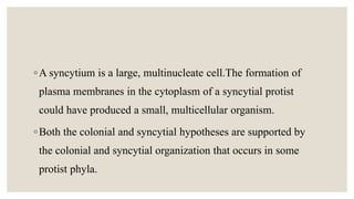 Multicellular and Tissue levels of organization | PPTX