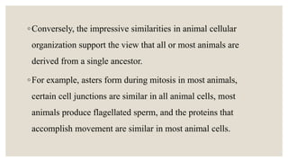 Multicellular and Tissue levels of organization | PPTX