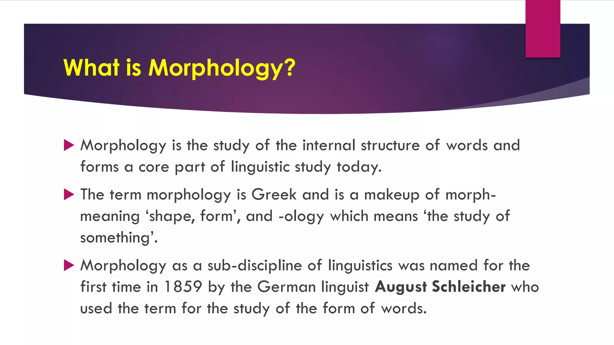 Week 3 morphology copy2 | PDF