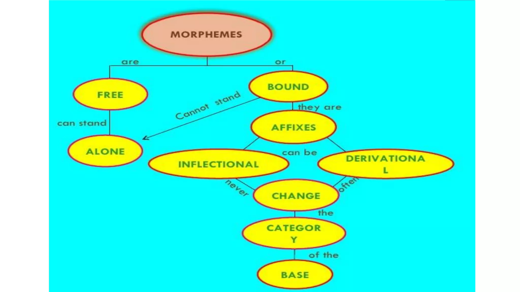 Week 3 morphology copy2 | PDF