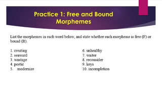 Week 3 morphology copy2 | PDF